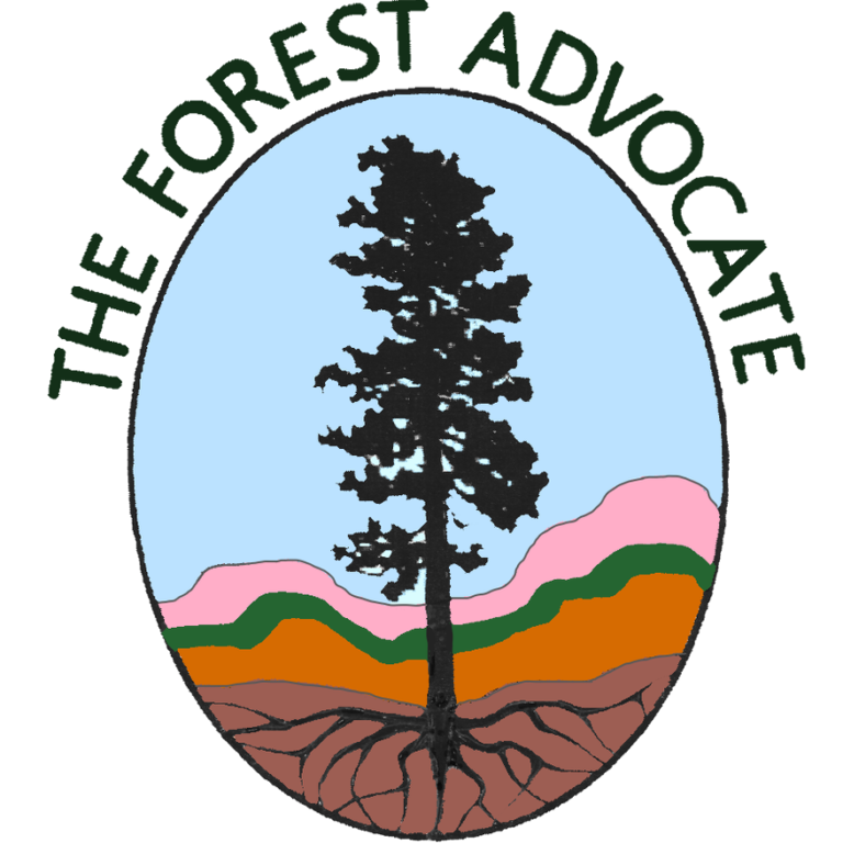 Consequences of burning our forests on purpose - ­The Forest Advocate