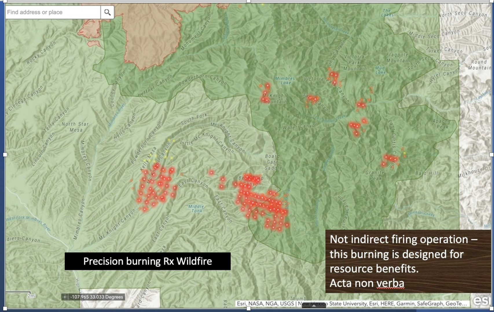 Consequences of burning our forests on purpose - ­The Forest Advocate